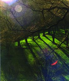 Robin Farrow | Home Page (Prior)